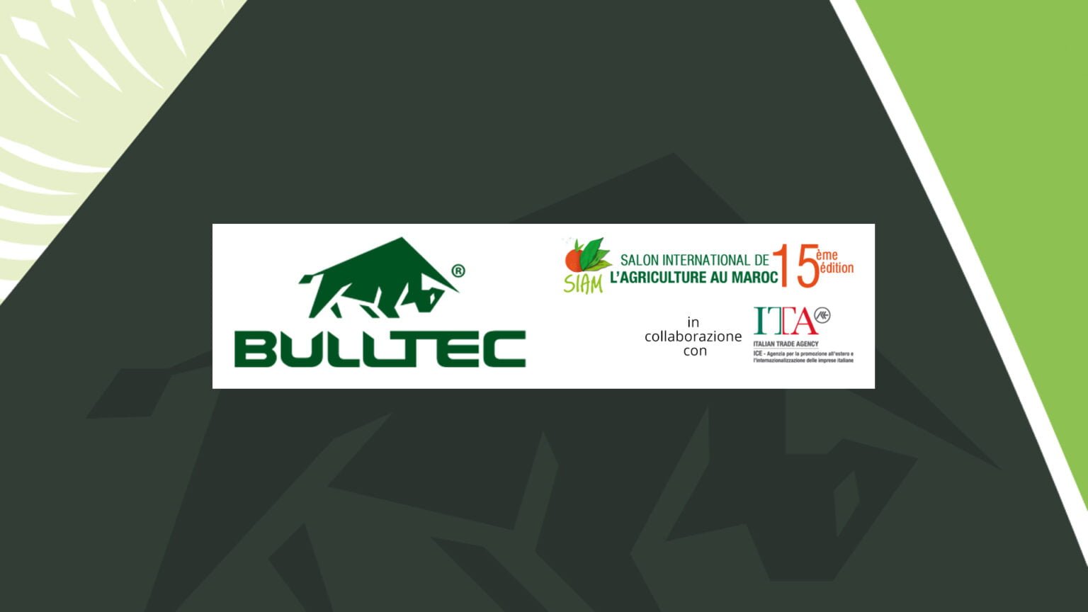 Bulltec | Calibratrici Elettroniche per Ortaggi | Sito Web