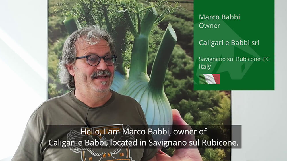 Bulltec | Calibratrici Elettroniche per Ortaggi | Sito Web